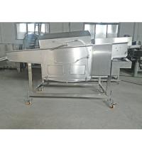 China Factory Supply Frozen Fish Ice Coating Machine Vegetables Ice Coating Machinery Ice Glazing Machine for Fish Shrimp for sale