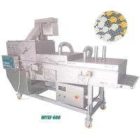 China Popular Burger Patty Panko Coating Machine Panko Bread Crumb Machine Chicken Fillet Powder Sprinkling Machine for sale