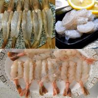 China Industrial Automatic Prawn Peeled Shrimp Peeling Washing Machines Shrimp Devenier Machine Price for sale