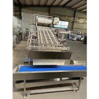 China Prawn Peeling Machine Automatic Shrimp Skin Peeling Devenier Machine Equipment for Shrimp Processing for sale