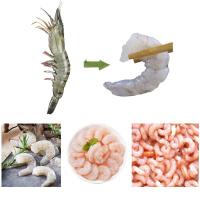 China Shrimp Head Removing Peeling Machine Shrimp Devenier Machine Equipment for Shrimp Processing for sale