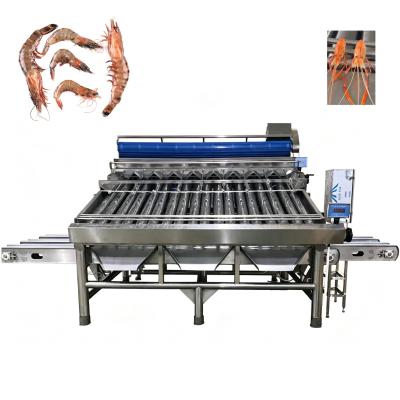 China Stainless Steel Roller Type Prawn Grader Automatic Shrimp Sorting Machine for Raw and Cooked Seafood Classification for sale