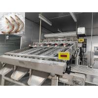 China Commercial Seafood Processing Machinery Fresh Crayfish White Shrimp Giant Freshwater Prawn Size Sorting Equipment for sale