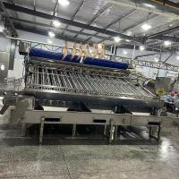 China Commercial Seafood Processing Machinery Fresh Crayfish White Shrimp Giant Freshwater Prawn Size Sorting Equipment for sale