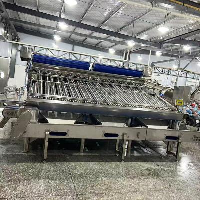 China Automatic Shrimp Grading Machine Roller Screen Type Shell-on Prawn Classifier for Aquatic Product Processing Line for sale