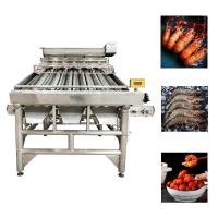 China Automatic Shrimp Grading Machine Roller Screen Type Shell-on Prawn Classifier for Aquatic Product Processing Line for sale
