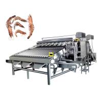 China Industrial Shrimp Sorting Equipment Stainless Steel Roller Grading Machine for Cooked and Raw Shell-on Prawn Processing for sale