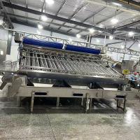 China Industrial Shrimp Sorting Equipment Stainless Steel Roller Grading Machine for Cooked and Raw Shell-on Prawn Processing for sale