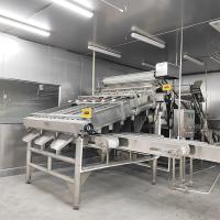 China Multi-Grade Automatic Prawn Size Sorting Machine Crayfish White Shrimp Giant Prawn Grader for Seafood Factory for sale