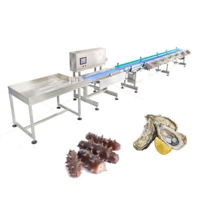 China Big Scale Shellfish Farming Oyster Weighing Conveyor Grader Belt Potato Onion Apple Weight Sorter Automatic Fish Sorting Machine for sale