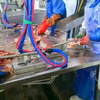 China Automatic Vacuum Poultry Lung Remover Chicken Duck Goose Lung Suction Machine Slaughterhouse Internal Organs Evisceration for sale