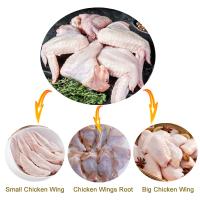 China Chicken wings Cutting Machine Industrial Poultry Chicken Wing Divider Machine for sale