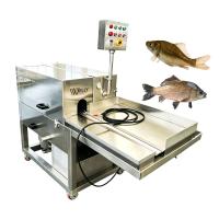 China Automatic Fish Eviscerator for Crucian Carp Pomfret Red Fish Yellow Fish Sea Bream for sale