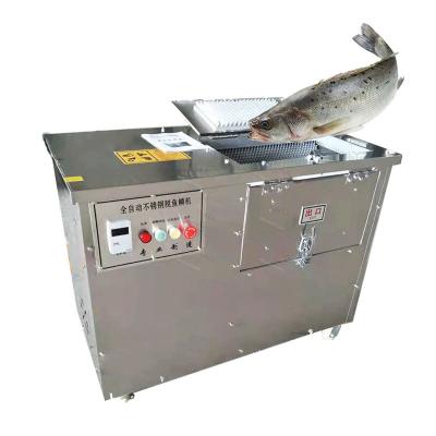 China New Type Welly Machinery Electric Sardine Tuna Snapper Fish Scaler Scaling and Gutting Machine Fish Scale Remover Machine for sale