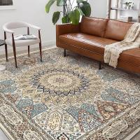 China Antimicrobial European Custom Printing Decorative Carpet for Modern Living Room Floor for sale
