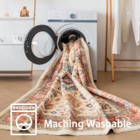China Handmade Soft Modern Rugs for Living Room Eco-friendly Nordic Printed Fluffy Carpet for sale