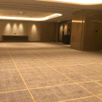 China Heavy Commercial Grade Axminster Carpet for Luxury Flooring in 5 Star Hotel Hilton Hotel for sale
