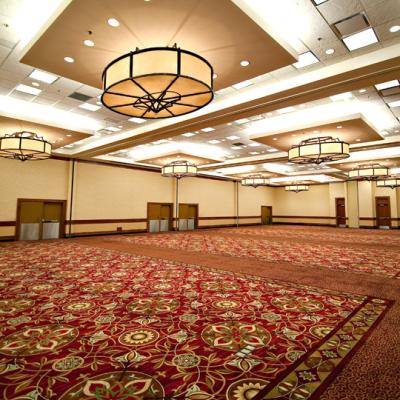 China Hotel Carpet 80% Wool 20% Nylon Banquet Hall Flooring Axminster Customizable OEM ODM for sale