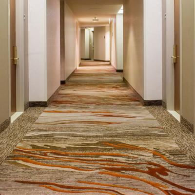 China Customized Color Axminster Carpet for Meeting Room Hot Design Market for sale