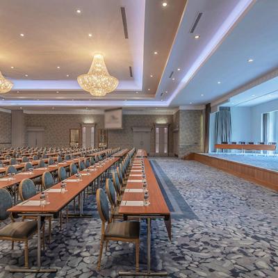 China Silverstone Luxurious Hotel Movie Theater Axminster Carpet for Adult Rectangle Design for sale