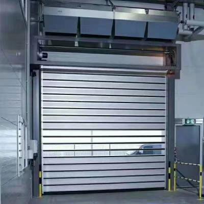 China Customized Rapid Roll up and Shutter Security Automatic Garage Door for Industrial for sale
