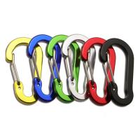 China Aluminum Carabiner Hook 5CM Flat Style Bearing 15KG for Keychain Water Bottle for sale