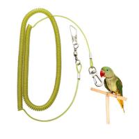 China Stretchable 5 Meter Parrot Flying Rope Coil Leash with Thumb Hook for Bird Safety for sale