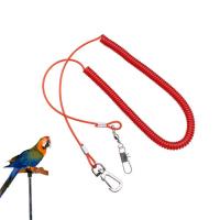 China Plastic Coil Lanyard for Parrot Fly Training 3-20m with Snap Hook and Pin for sale