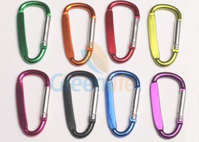 China Custom Aluminum Carabiner Keychain 58mm D Shape Promotional Silver Clip for Hiking for sale