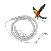 China 6 Meter Expanding Parrot Safety Tether Coil Strap with Stainless Steel Core for Bird Flying Protection for sale