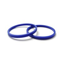 China Dual Seal Flange Static Seals Extrusion Resistant Torsion Resistant Heavy Load Cover Seals for sale