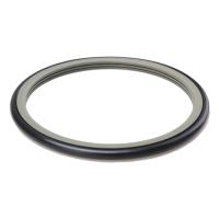 China Double Acting Rotary Shaft Seals , Roto Glyd Seal Radial Lip Seals For Automotive for sale