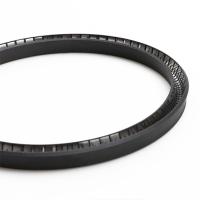 China Single Acting PTFE Spring Energized Seals Variseal M2 For Reciprocating Piston for sale