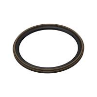 China Single Acting Hydraulic Buffer Seal Low Friction Teflon Stepseal 2K for sale