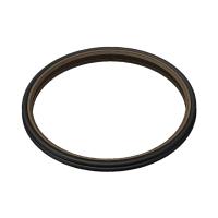 China Double Acting Hydraulic Scraper Seals , Lipped Wiper Excluder Seals PT1 for sale
