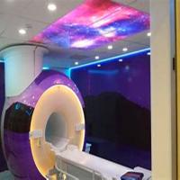 China Rf Cage Mri Shielding Room Rf Faraday Cage Shielding Test Radio Frequency emc anechoic chamber for sale