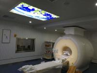 China 1.5t 1.3t  Rf Shielding Room Design For Mri Rooms RFI EMI Shielded Enclosure rf shielding room emc anechoic chamber for sale