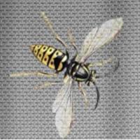 China Abrasion Proof Stainless Steel Security Screen Mesh 1300mmx2600mm Size for sale