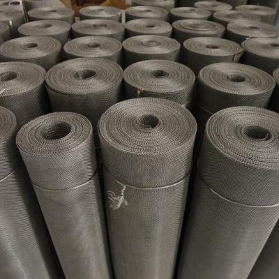 China High Strength Stainless Steel Bug Screen 8mesh-12mesh  Powder Coated for sale