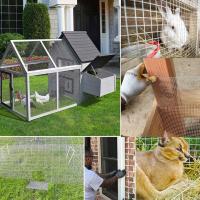 China 1/2x1 1x1 16Gauge Galvanized Welded Wire Mesh Rolls 25mmx25mm Rust Resistance for sale