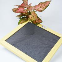 China 0.23mm Wire Stainless Steel Security Screen Mesh Wear Resisting for sale