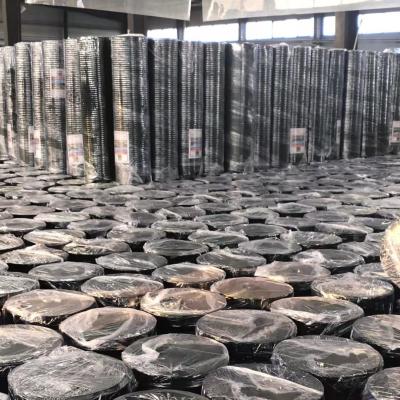 China Gabions 1/5 Galvanized Welded Wire Mesh Rolls Stainless Steel for sale