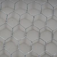 China Pvc 0.5mm Galvanized Hex Netting Chicken Wire Reverse Twist for sale