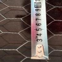 China 3 8 Inch Hexagonal Wire Mesh Dog / Bird Cage Fencing Gates Trailer Frame for sale