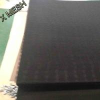 China 12mesh Black Powder Coated Stainless Steel 316 Security Insect Screen for sale