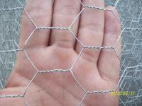 China Rabbit Cage PVC Coated Hexagonal Hole Wire Mesh Steel Wire Mesh for sale