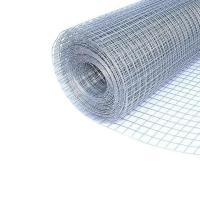 China Garden Fence Stainless Steel Electro Galvanized Hot Dipped Galvanized Welded Wire Mesh Rolls for sale