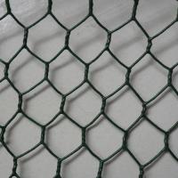 China PVC Coated Or Galvanized Hexagonal Chicken Wire Mesh For Poultry for sale