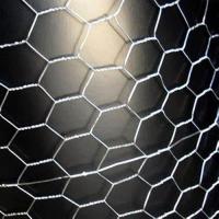China PVC Coated Or Galvanized Hexagonal Chicken Wire Mesh For Poultry for sale