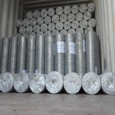 China Galvanized Wire Mesh Chicken Wire Mesh With Hexagonal Wire Netting for sale